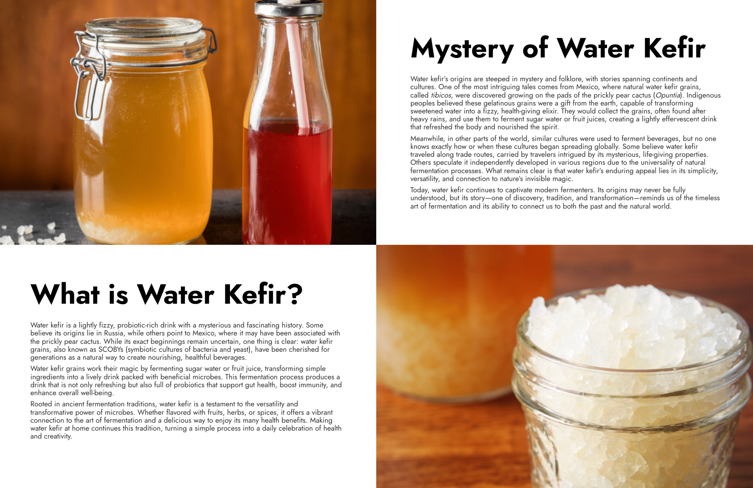 Fermented Drinks Recipe Book – PDF Download – Benicia Fermentory