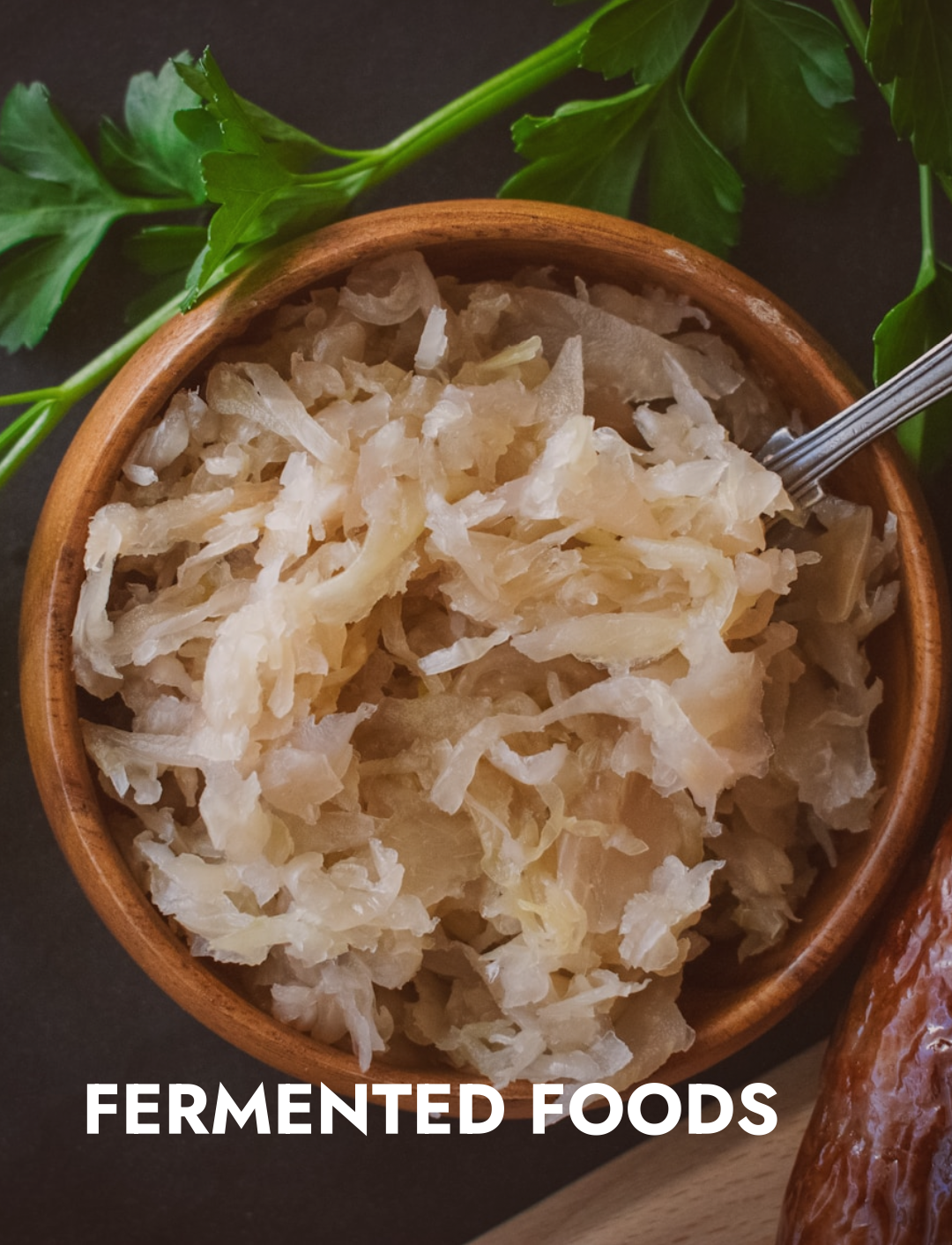 Fermented Foods Recipe Book – PDF Download – Benicia Fermentory