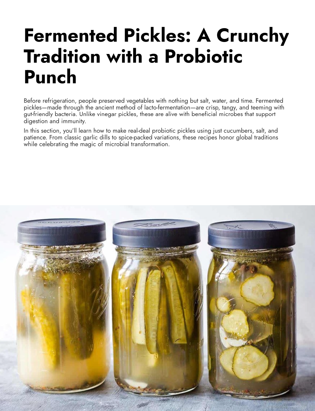 Fermented Foods Recipe Book – PDF Download – Benicia Fermentory